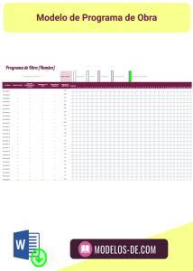 Plantilla de Programa de obra en Excel | Gratis